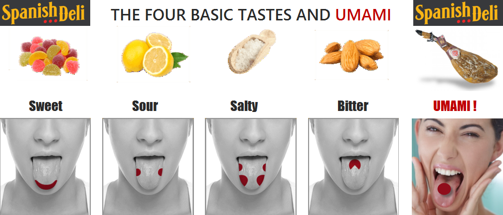 El queso y el umami - USKAR